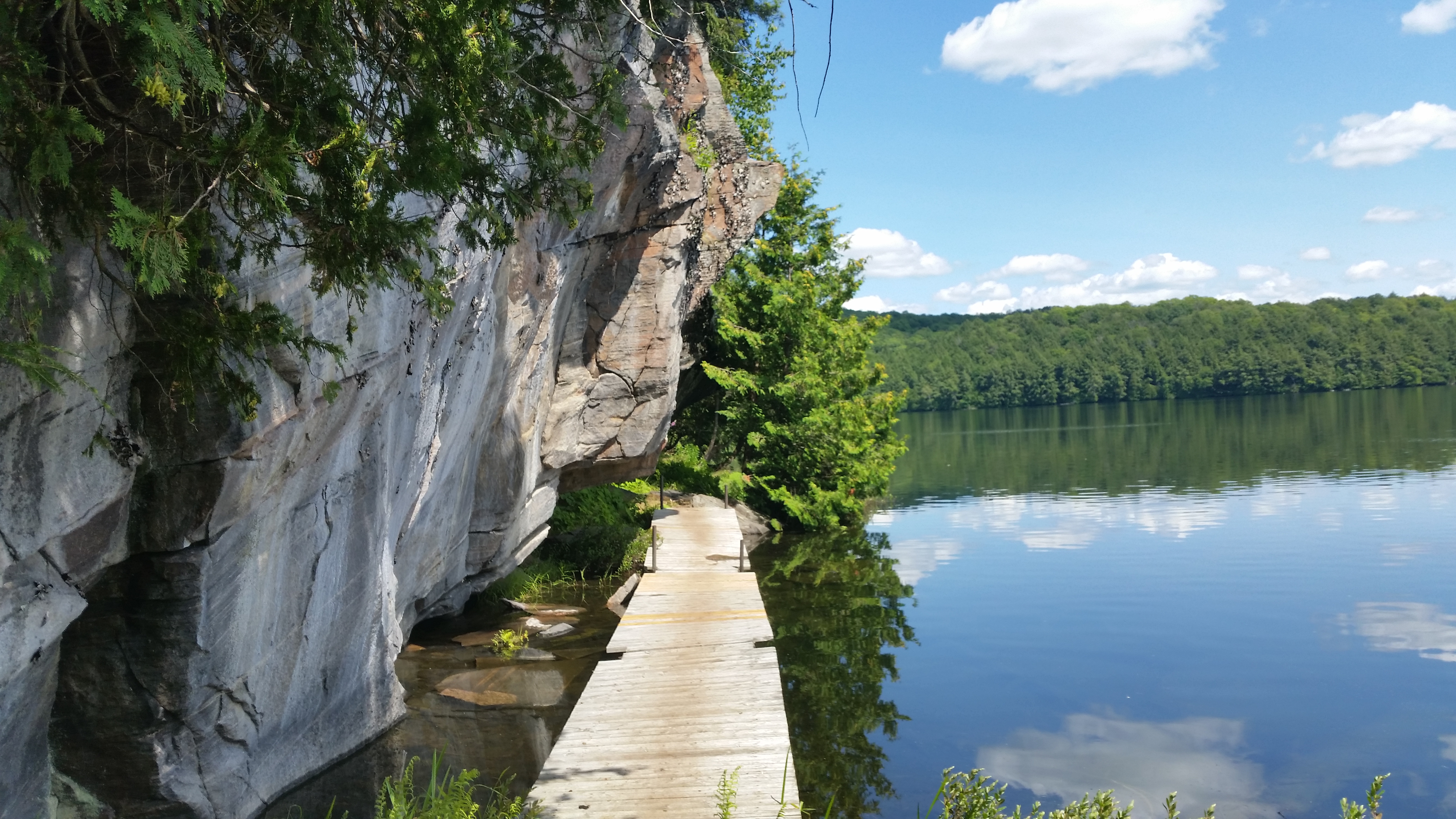 Limberlost Forest Wildlife Reserve – Ontario Adventurer