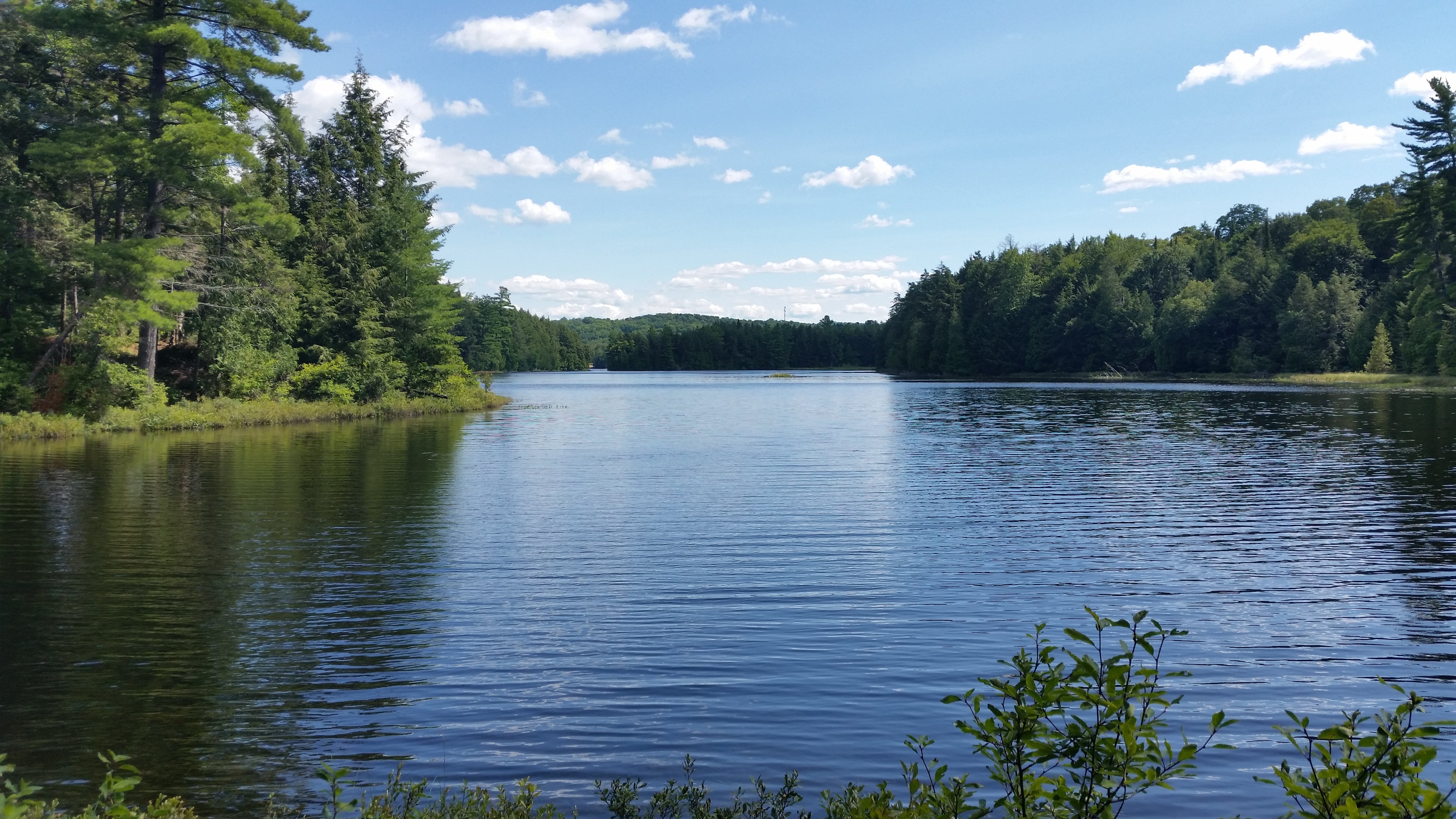 Limberlost Forest Wildlife Reserve – Ontario Adventurer