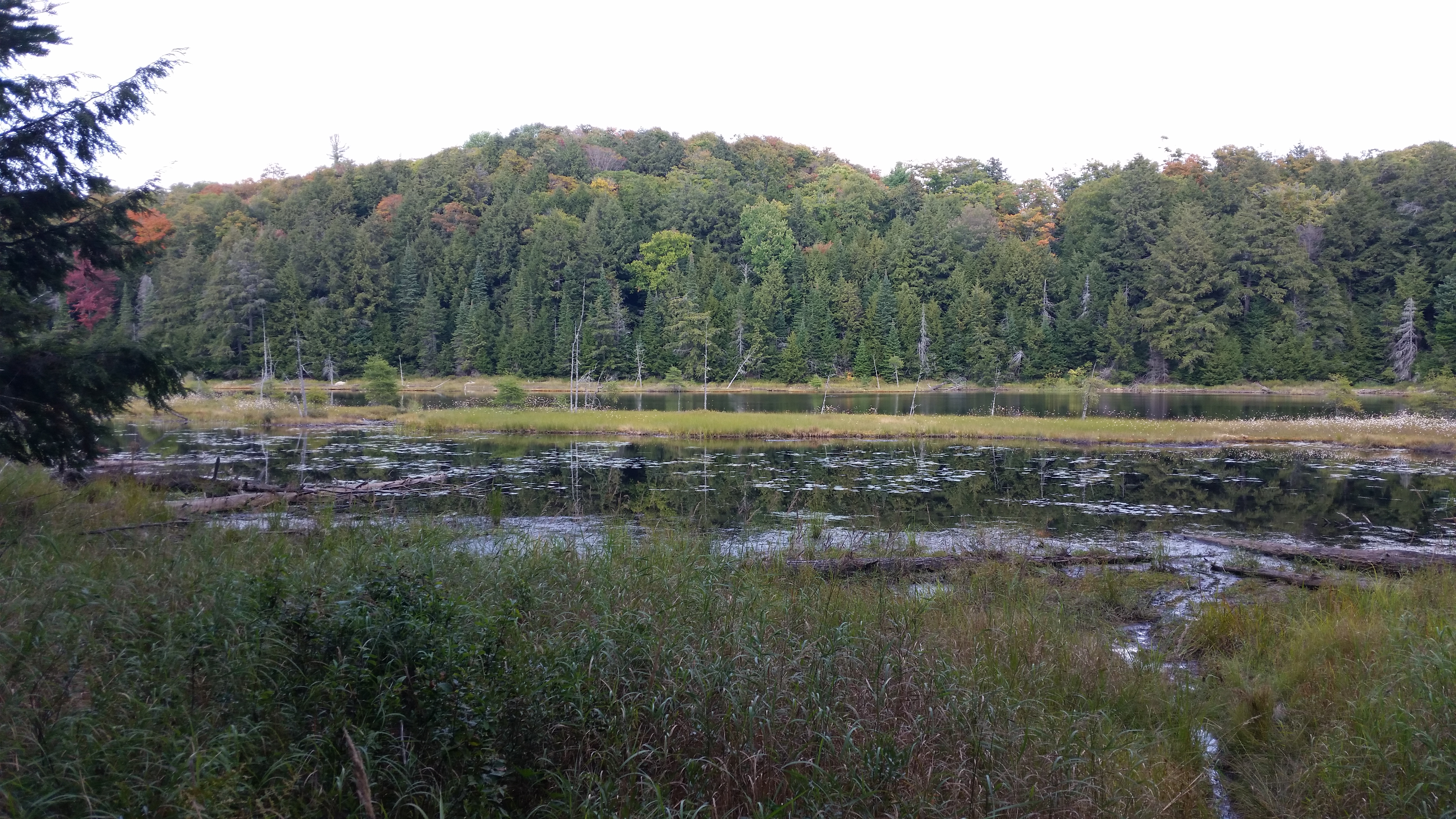 Limberlost Forest Wildlife Reserve – Ontario Adventurer