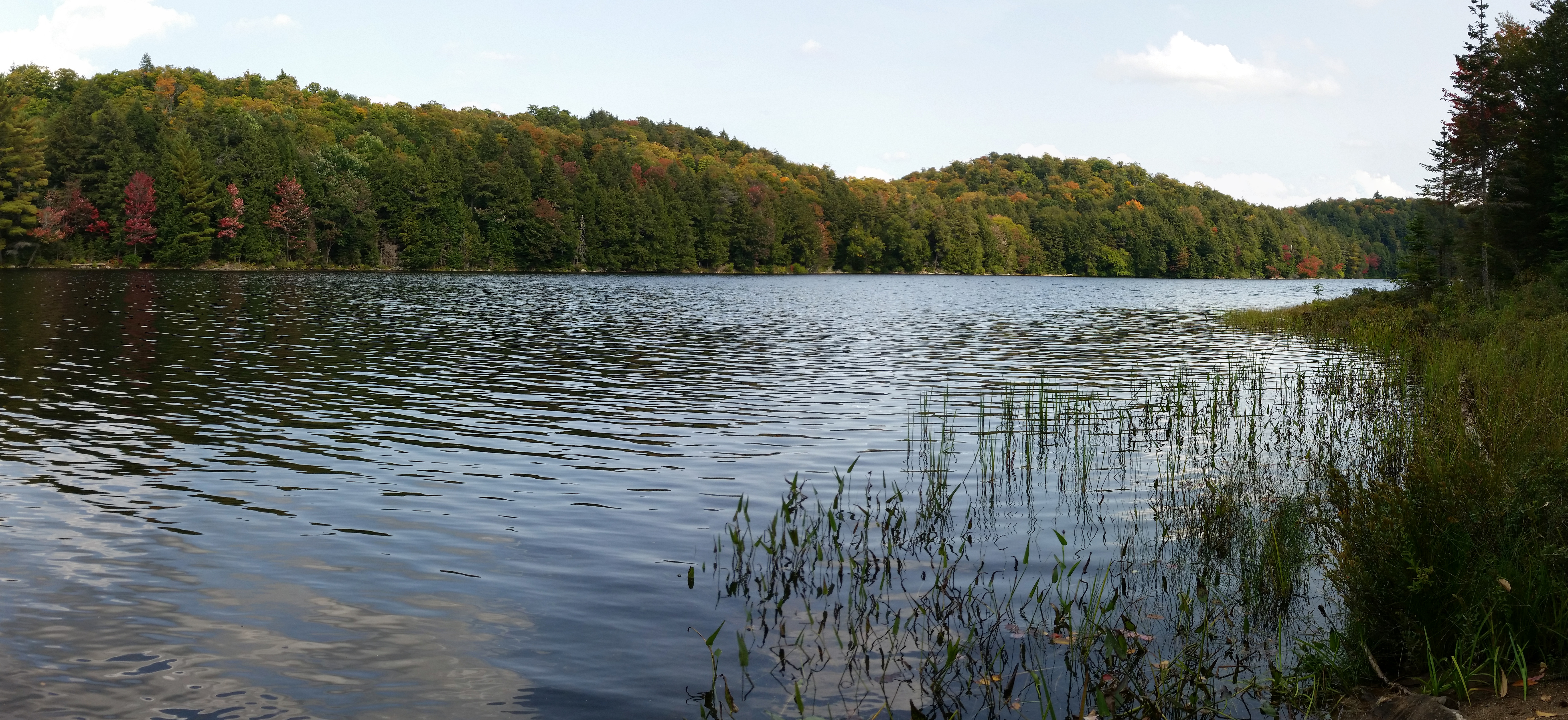 Limberlost Forest Wildlife Reserve – Ontario Adventurer