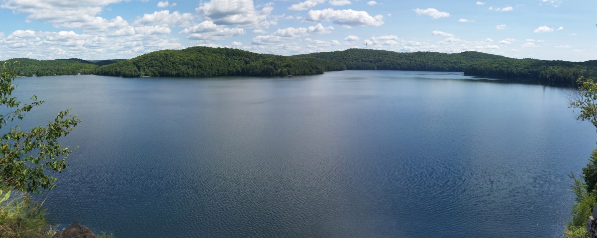 Limberlost Forest Wildlife Reserve – Ontario Adventurer