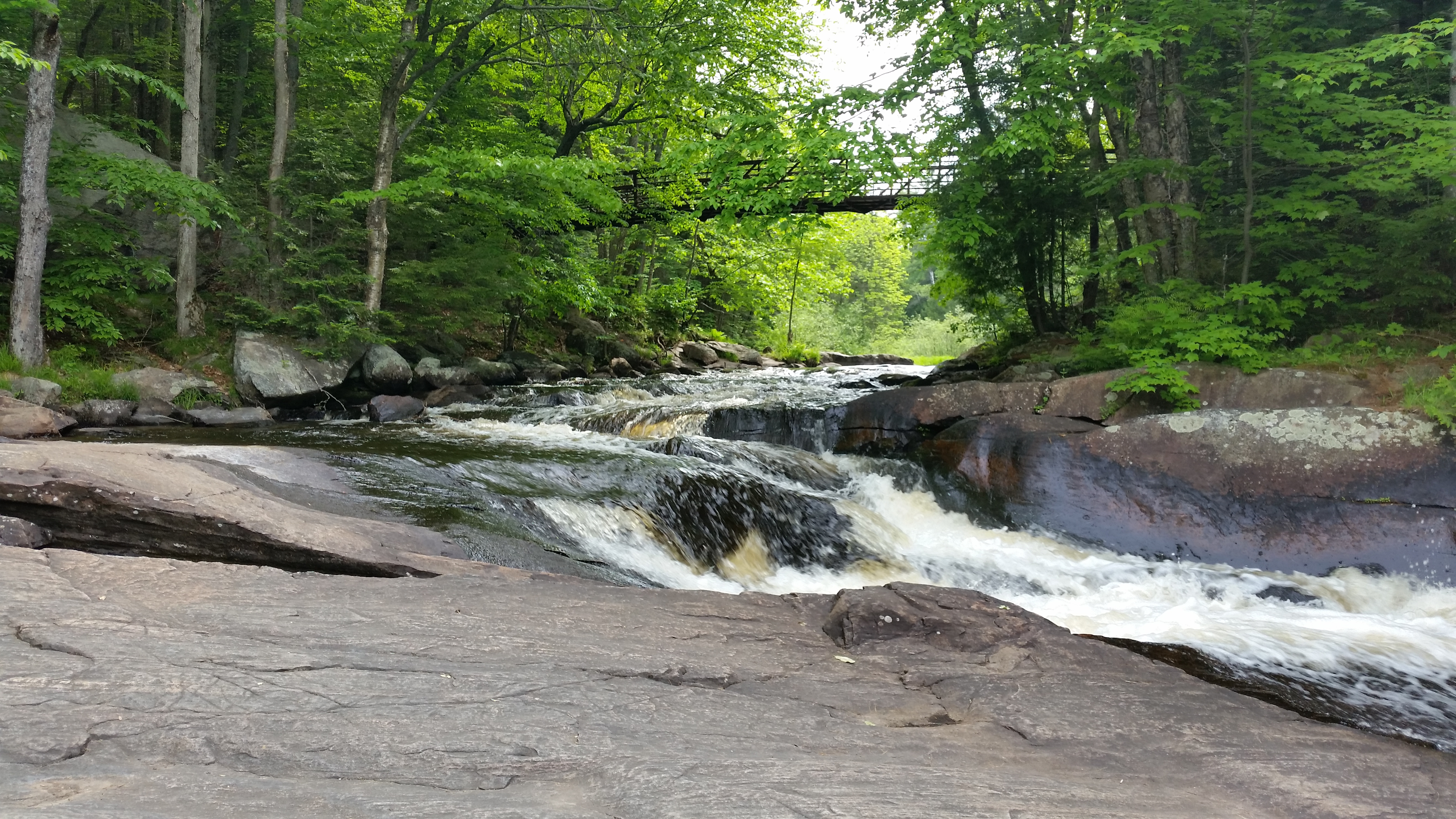 Arrowhead Provincial Park: Stubb’s Falls Trail, Beaver Meadow Trail ...