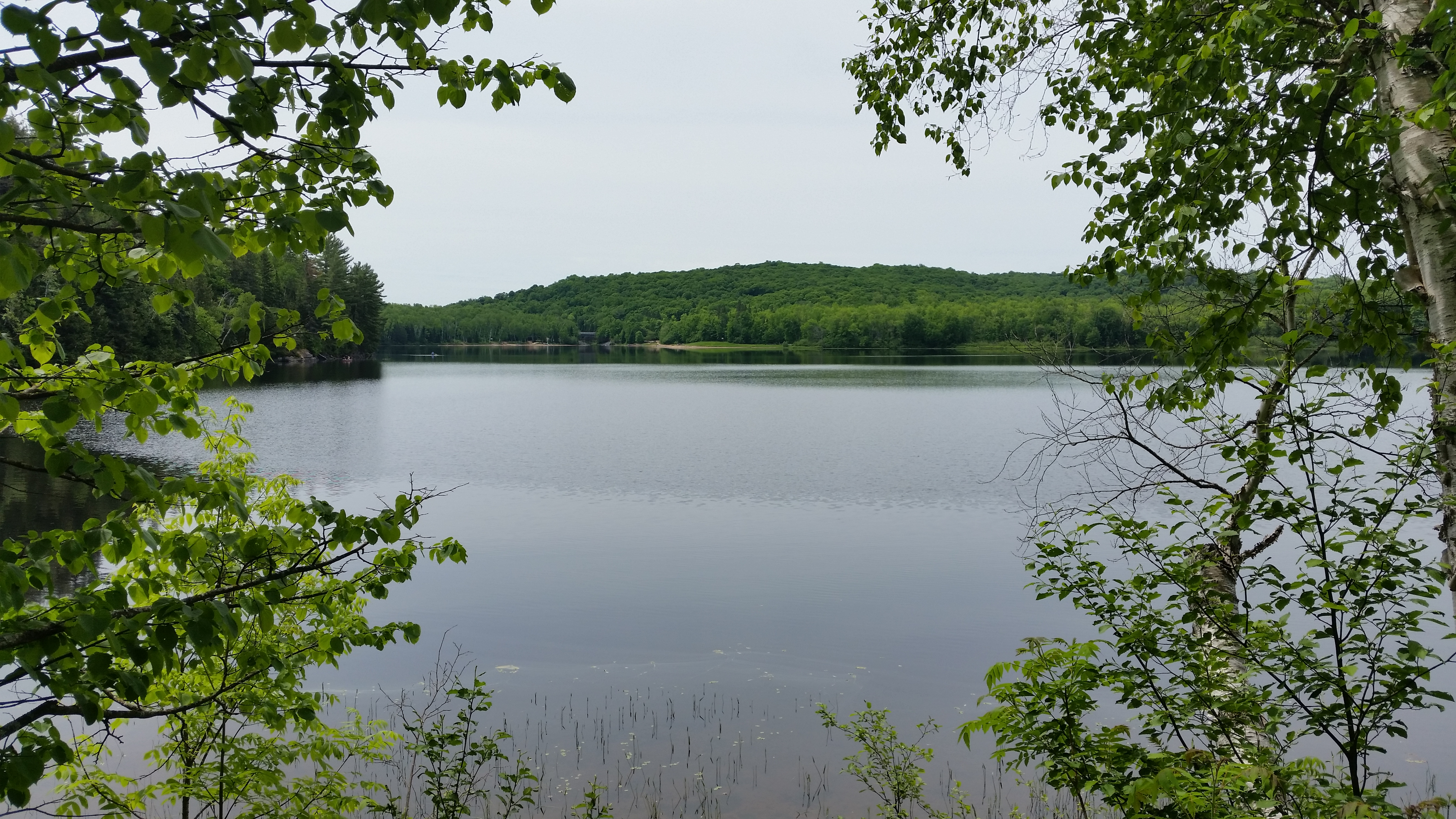 Arrowhead Provincial Park: Stubb’s Falls Trail, Beaver Meadow Trail ...