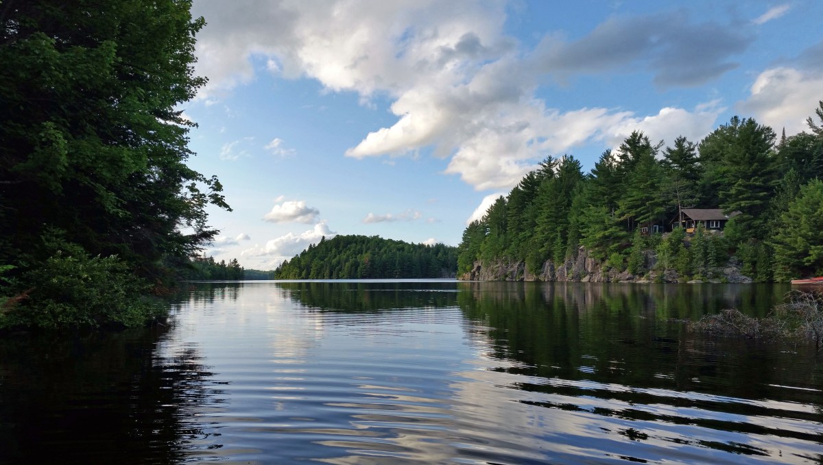 Algonquin Provincial Park: Canoe Lake, Joe Lake and Littledoe Lake ...